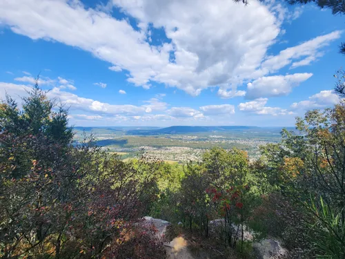 2023 Best Wild Flowers Trails in Blevin's Gap Nature Preserve | AllTrails