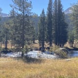 Soda Springs and Parsons Lodge Trail, California - 593 Reviews, Map ...