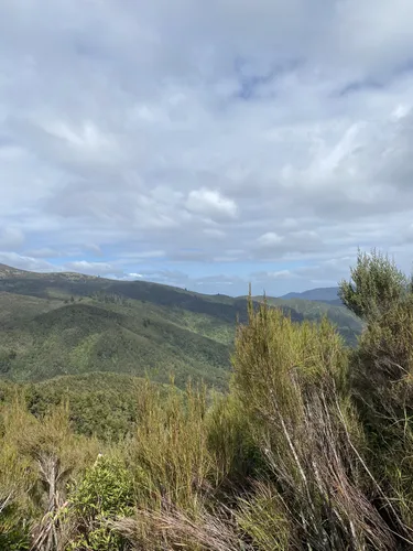 Best River Trails in Waitati | AllTrails