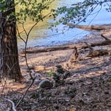 Little Gap Trail, South Carolina - 685 Reviews, Map | AllTrails