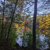 Douglas Forest Wallis Pond Loop Trail, Massachusetts - 929 Reviews, Map ...