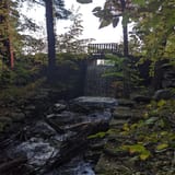 Douglas Forest Wallis Pond Loop Trail, Massachusetts - 929 Reviews, Map ...