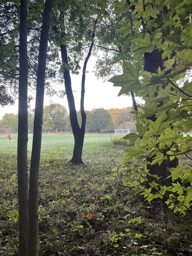 Best Hikes and Trails in Meadow Ridge Park | AllTrails