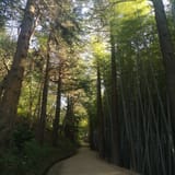 Ahopsan Forest, Busan, South Korea - 22 Reviews, Map | AllTrails