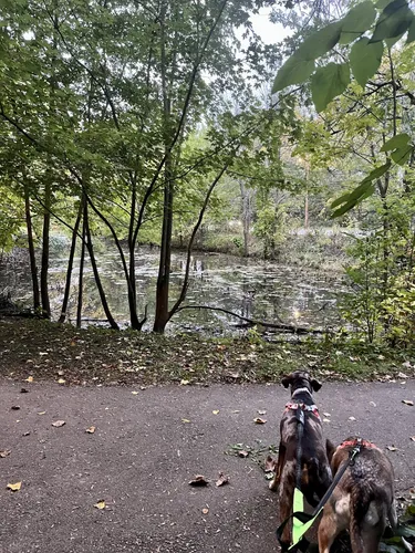 Best Hikes and Trails in Jacobus Park | AllTrails