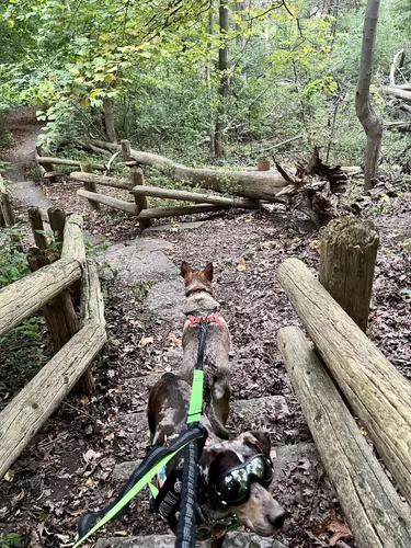 Best Hikes and Trails in Jacobus Park | AllTrails