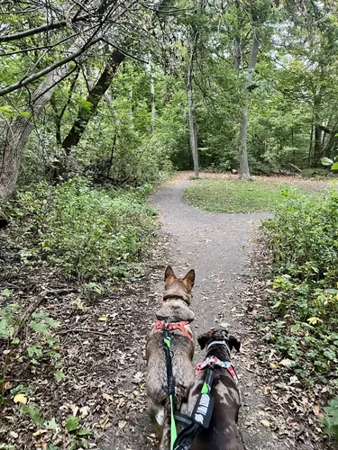 Best Hikes and Trails in Jacobus Park | AllTrails