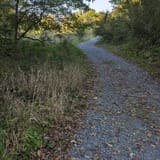 Philip A. Bolen Memorial Park Loop, Virginia - 39 Reviews, Map | AllTrails