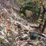 Lewis Spring Falls Trail, Virginia - 1,295 Reviews, Map | AllTrails