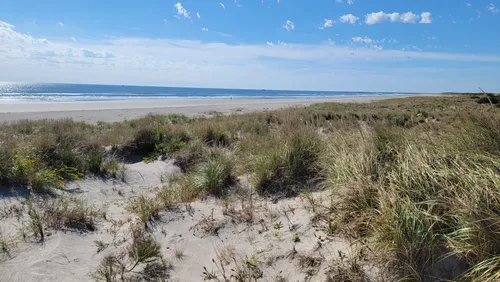 Best Hikes and Trails in Cape May National Wildlife Refuge | AllTrails