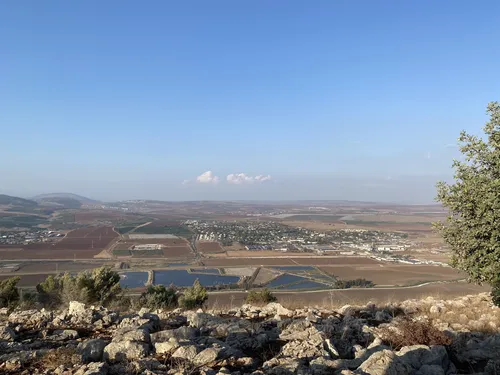 Best Hikes and Trails in Gilboa Forest | AllTrails