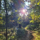 Saunders Springs Nature Preserve Loop, Kentucky - 400 Reviews, Map ...