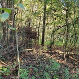 Saunders Springs Nature Preserve Loop, Kentucky - 400 Reviews, Map ...
