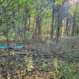 Saunders Springs Nature Preserve Loop, Kentucky - 400 Reviews, Map ...