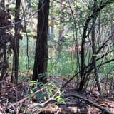 Saunders Springs Nature Preserve Loop, Kentucky - 400 Reviews, Map ...