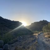 Dreamy Draw Loop Trail, Arizona - 1,086 Reviews, Map | AllTrails