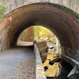 Beechview Seldom Seen Greenway Trail, Pennsylvania - 71 Reviews, Map ...