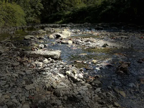 Best Hikes and Trails in Beechview-Seldom Seen Greenway | AllTrails