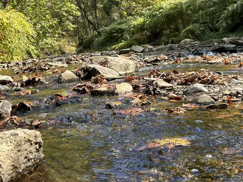 Best Hikes and Trails in Beechview-Seldom Seen Greenway | AllTrails