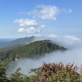 Look Rock Tower Trail, Tennessee - 616 Reviews, Map | AllTrails