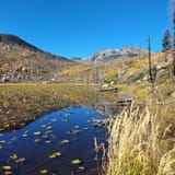 Cub Lake Trail, Colorado - 1,327 Reviews, Map | AllTrails