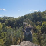 Window Cliffs Trail, Tennessee - 1,333 Reviews, Map | AllTrails