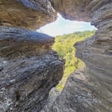 Window Cliffs Trail, Tennessee - 1,333 Reviews, Map | AllTrails