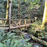 Maple Valley Loop, Washington - 230 Reviews, Map | AllTrails