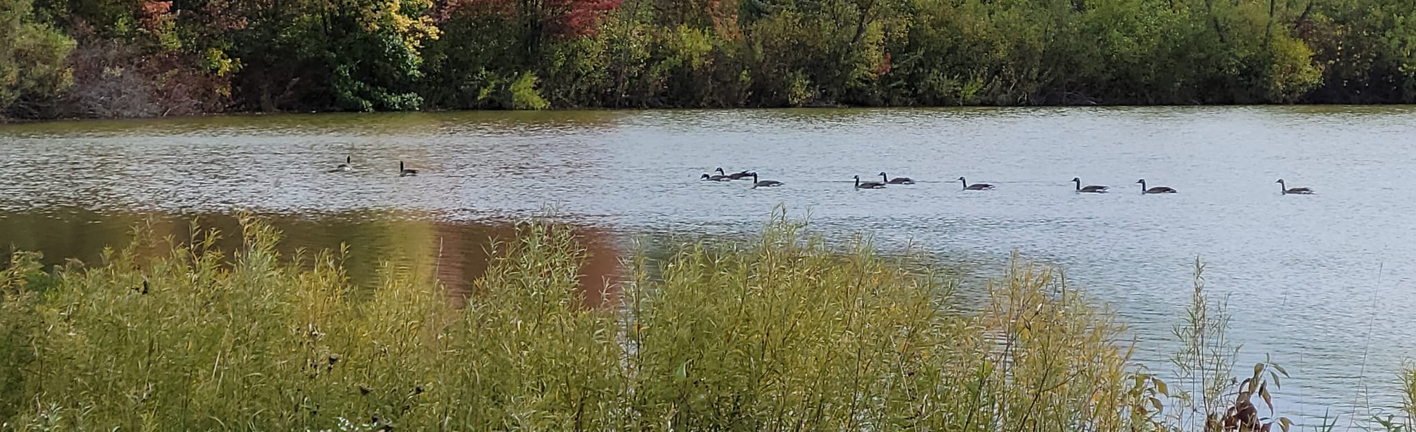 Bicentennial Park Path via Creasey, Michigan - 94 Reviews, Map | AllTrails