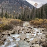 Loop Brook Trail, British Columbia, Canada - 251 Reviews, Map | AllTrails