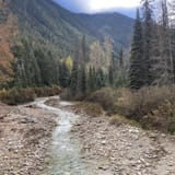 Loop Brook Trail, British Columbia, Canada - 251 Reviews, Map | AllTrails