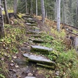 Loop Brook Trail, British Columbia, Canada - 251 Reviews, Map | AllTrails
