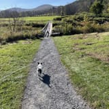 The Windham Path, New York - 510 Reviews, Map | AllTrails