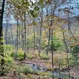 Barnes Camp Loop, Vermont - 456 Reviews, Map | AllTrails