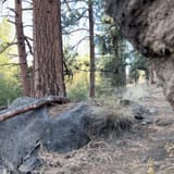 Riley Ranch Trails, Oregon - 391 Reviews, Map | AllTrails