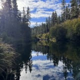 Riley Ranch Trails, Oregon - 391 Reviews, Map | AllTrails