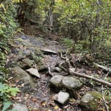 Graybeard Trail, North Carolina - 1,733 Reviews, Map | AllTrails