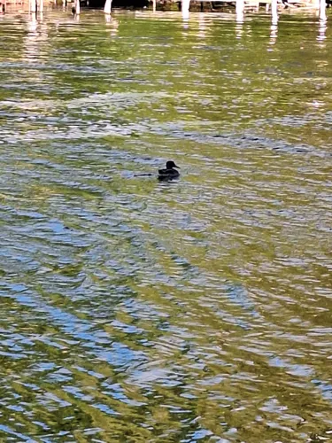 Best Hikes and Trails in Naga-Waukee County Park | AllTrails