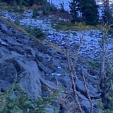 McNeil Point Trail, Oregon - 2,727 Reviews, Map | AllTrails
