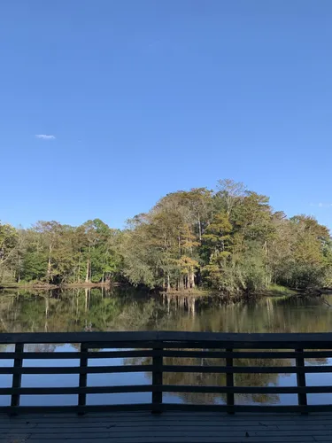 Best Hikes and Trails in Lumber River State Park | AllTrails