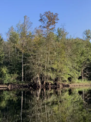 Best Hikes and Trails in Lumber River State Park | AllTrails