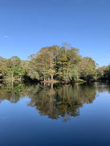 Best Hikes and Trails in Lumber River State Park | AllTrails