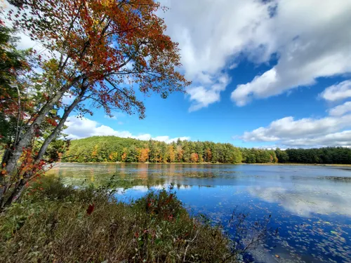 Best Hikes and Trails in Deering Wildlife Sanctuary | AllTrails