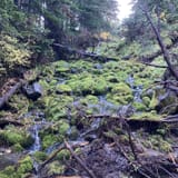 McNeil Point Trail, Oregon - 2,717 Reviews, Map | AllTrails