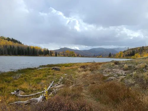 10 Best Easy Trails in Rio Grande National Forest, Divide Ranger ...