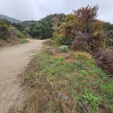 Marshall Canyon Trail, California - 2,435 Reviews, Map | AllTrails