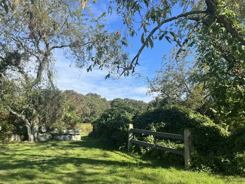 Best Hikes and Trails in Bluff Point State Park | AllTrails