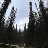 Karst Spring Trail, Alberta, Canada - 856 Reviews, Map | AllTrails