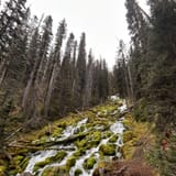 Karst Spring Trail, Alberta, Canada - 856 Reviews, Map | AllTrails