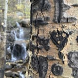 Thomas Trail Loop, Colorado - 1,037 Reviews, Map | AllTrails